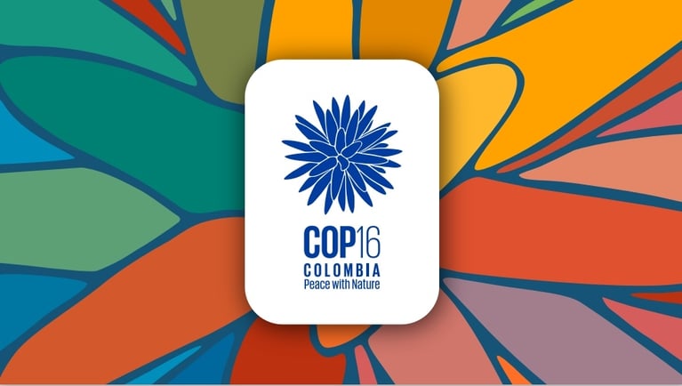 COP 16: Agenda and Key Highlights