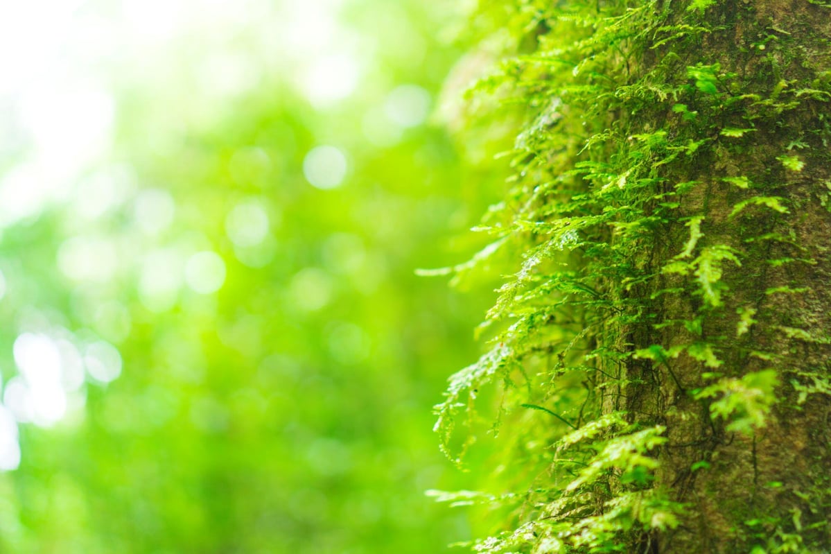 Understanding the Green Claims Code | Tunley Environmental