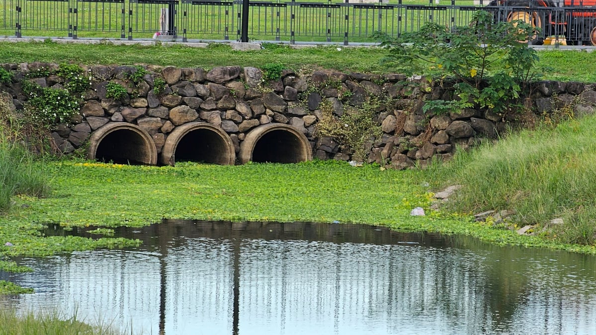 Defra Introduces the Water Restoration Fund to Enhance Water Quality