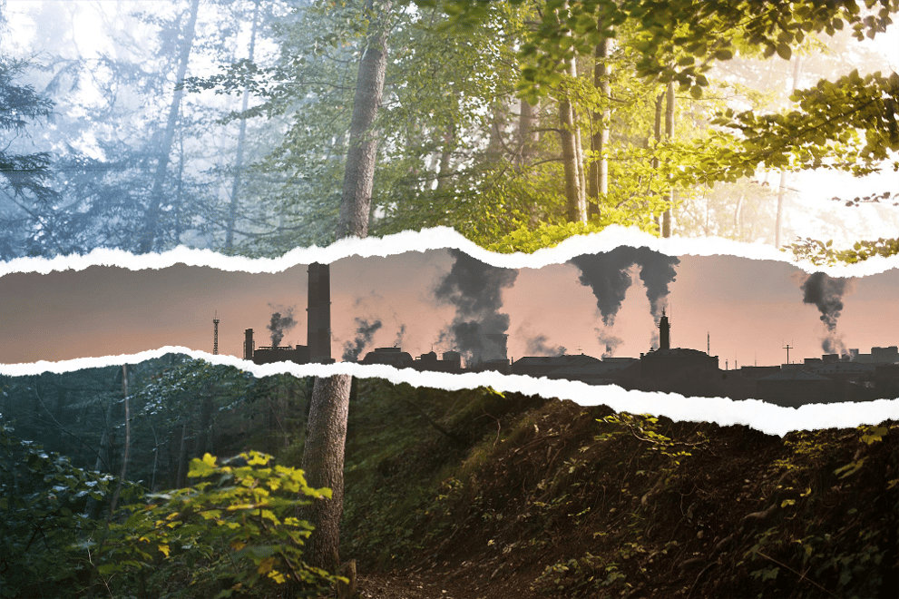 Green Marketing Vs Greenwashing | Tunley Environmental