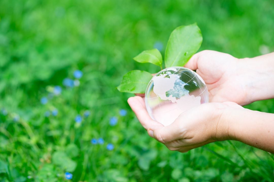 How your Company can Contribute towards Sustainable Development Goals
