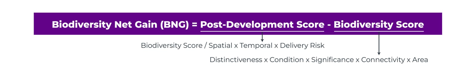 BNG Regulations Explained