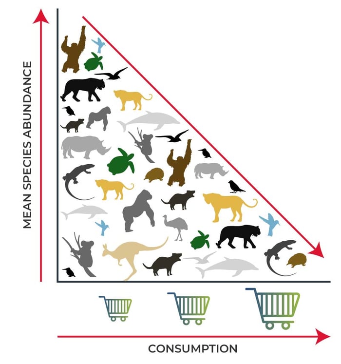 Supply Chain Biodiversity Footprint Assessment