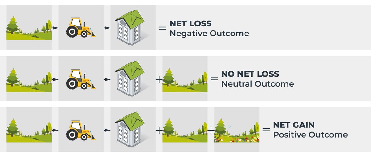 BNG Regulations Explained