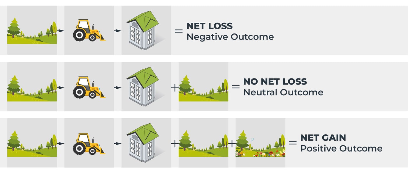 Preserve our Natural World with Biodiversity Net Gain