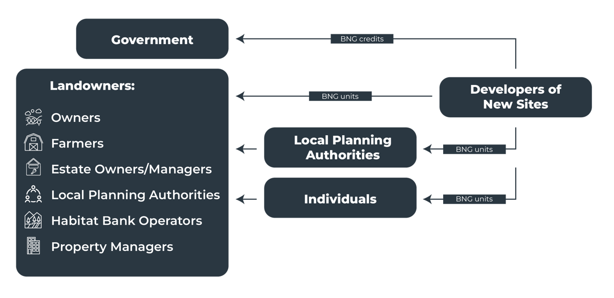 BNG Units and Credits