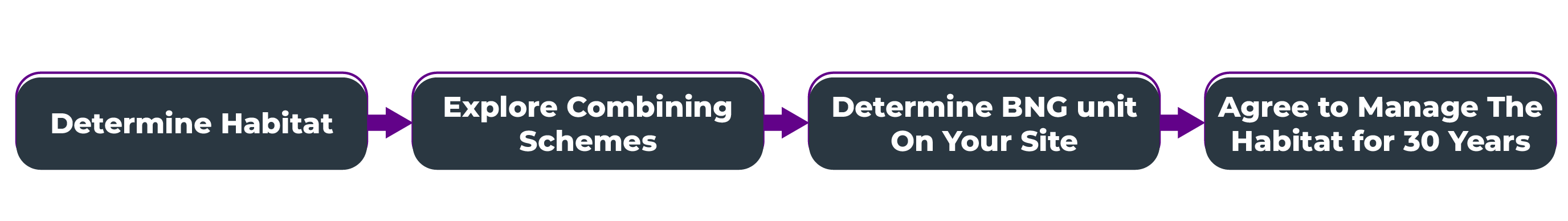 BNG Units and Credits