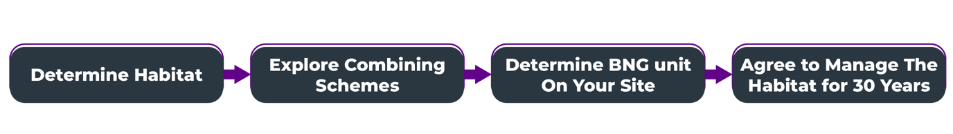 BNG Units and Credits