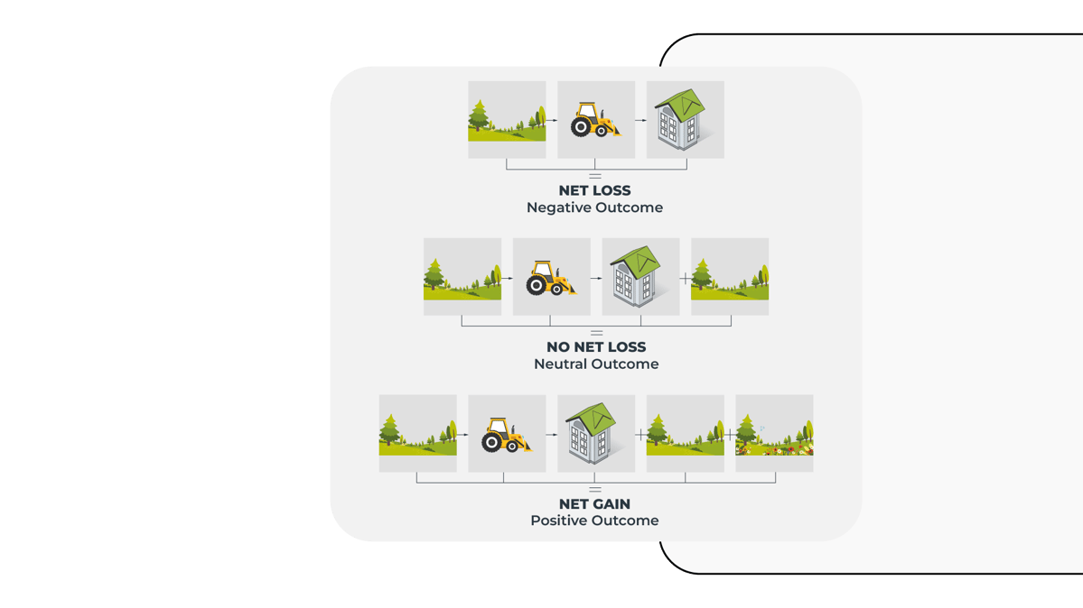 Biodiversity Net Gain
