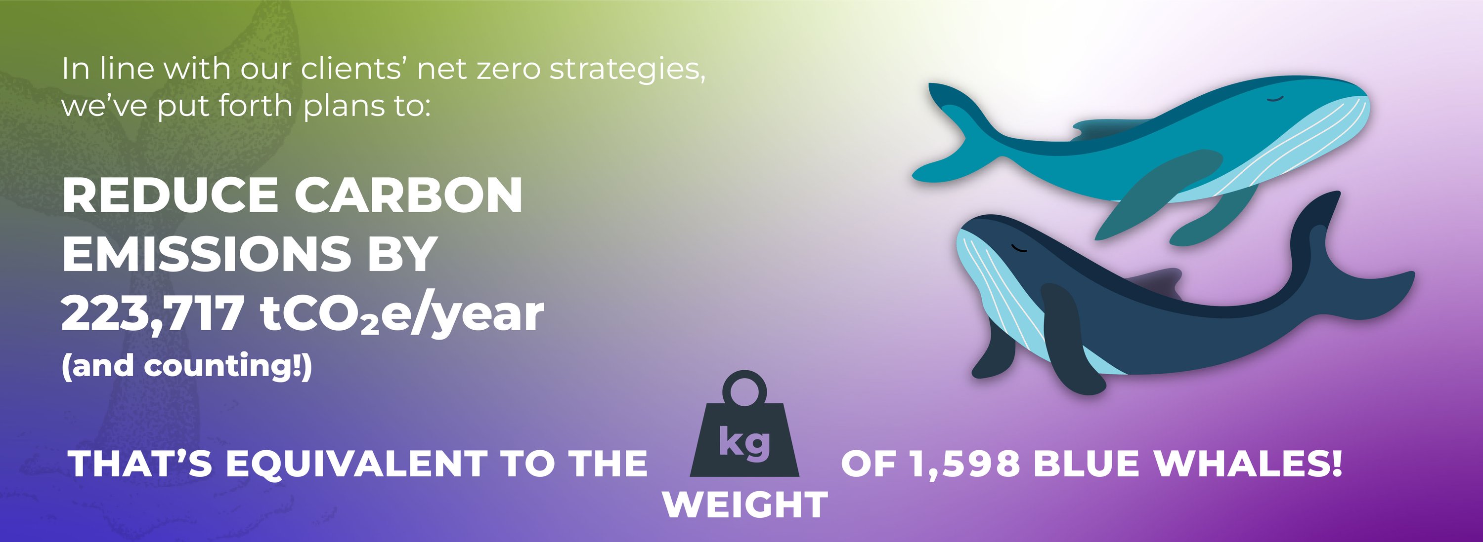 EPDs Explained | Tunley Environmental