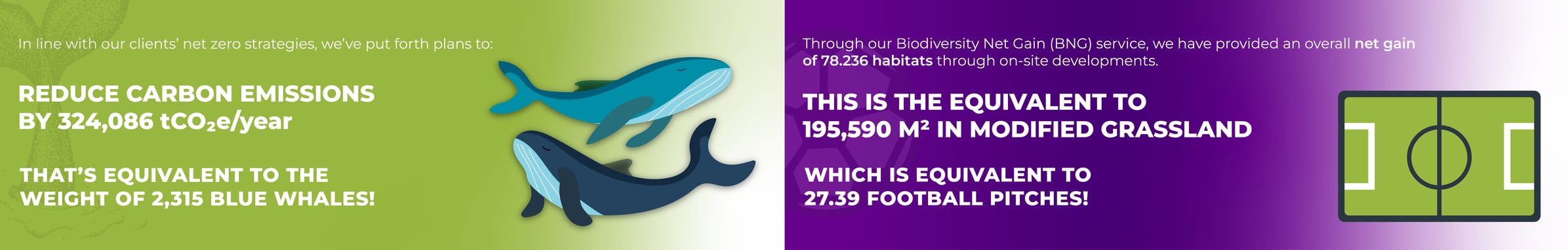 The Difference Between Carbon Insetting and Carbon Offsetting