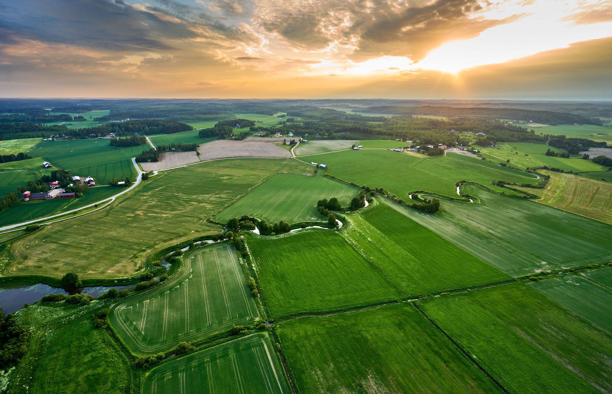 UK Land Use Framework Impacts on Biodiversity