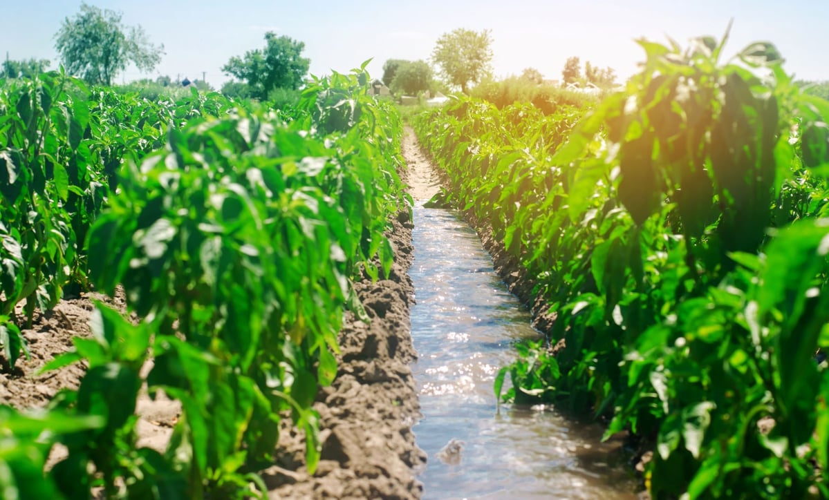 Water Use In Agriculture | Tunley Environmental
