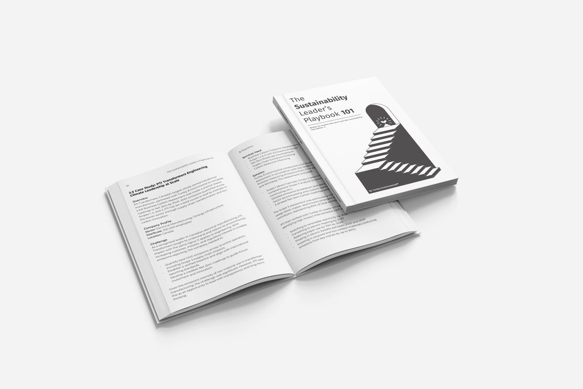 The Sustainability Leader's Playbook 101