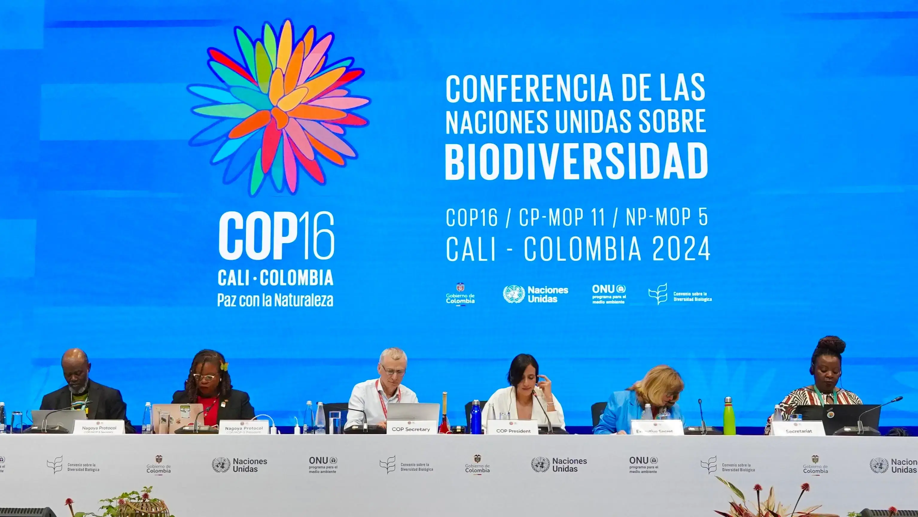 COP 16 Colombia Outcomes and Next Steps | Tunley Environmental