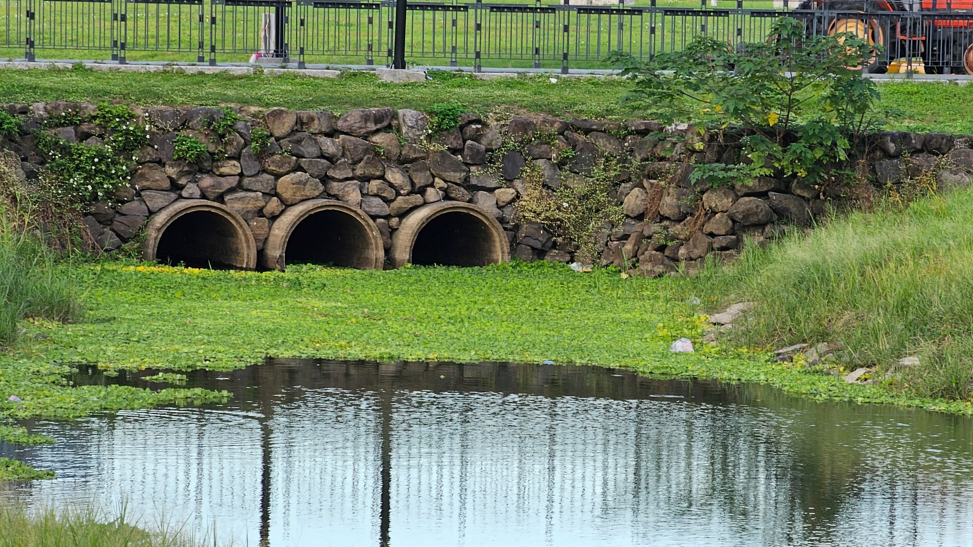 Defra Introduces the Water Restoration Fund to Enhance Water Quality