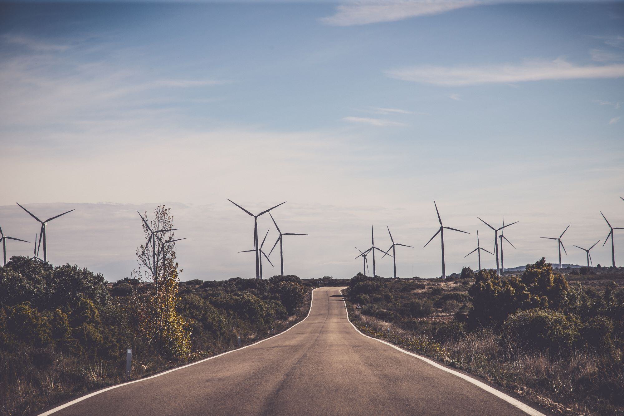 Net Zero for SMEs | Tunley Envrionmental