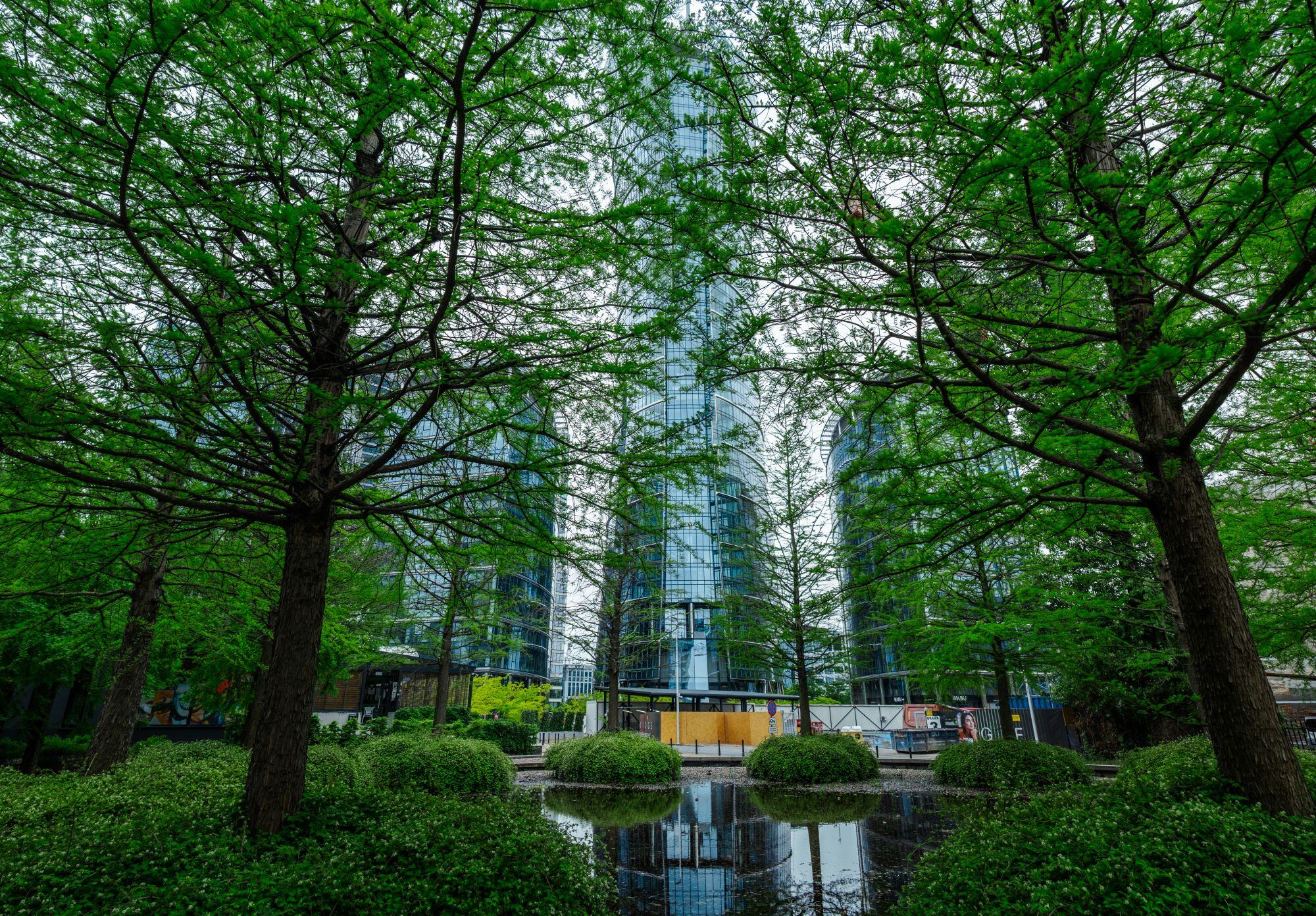 Understanding SCBF: Frameworks and Regulations | Tunley Environmental