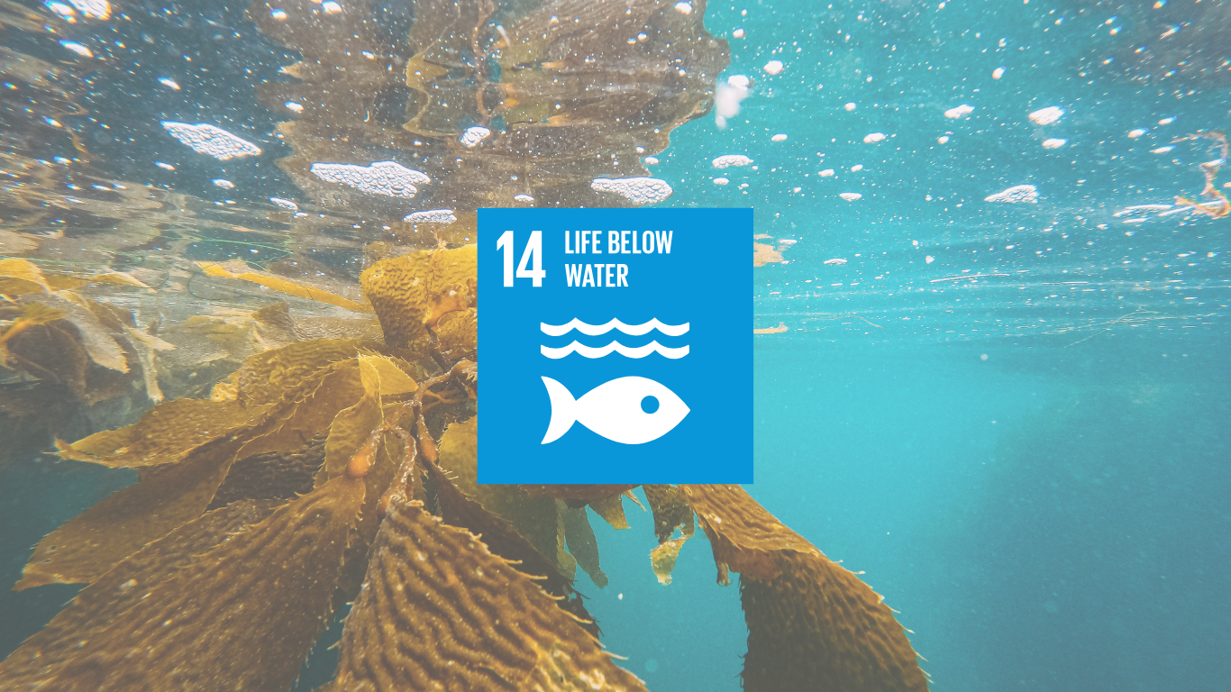Ocean Science for Sustainable Development | Tunley Environmental